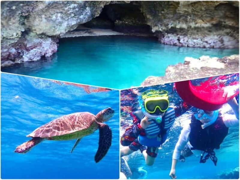Ishigaki Island: Blue Cave Exploration & Snorkeling Tour - An In-Depth Look at the Tour Experience