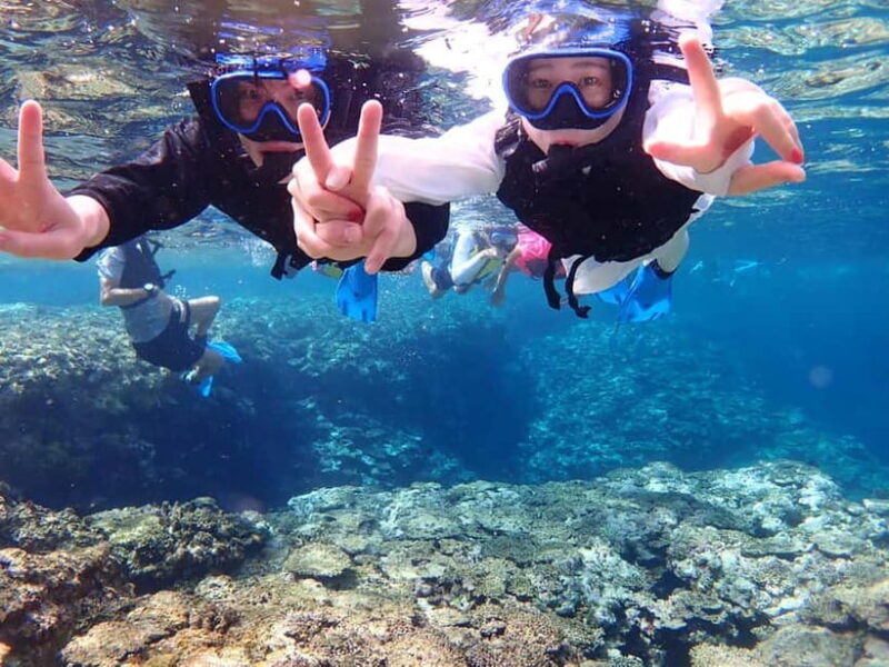 Ishigaki Island: Blue Cave Snorkeling & Taketomi Sightseeing - Key Points