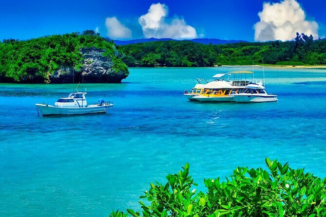 Ishigaki Island Highlights Tour - Key Points