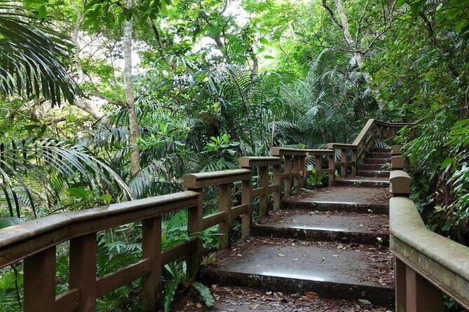 Ishigaki Island Private Tour Trails & Scenic Spots - Exploring the Itinerary in Detail