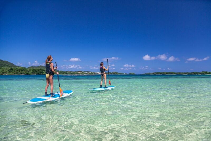 Ishigaki Island: SUP or Kayaking experience at Kabira Bay - Who Would Love This Tour?