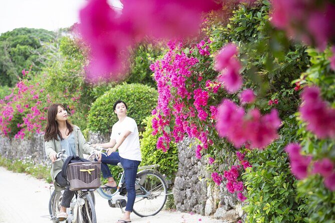 Ishigaki Mangrove Canoe / SUP & Taketomi Island Exploration - An In-Depth Look at the Tour