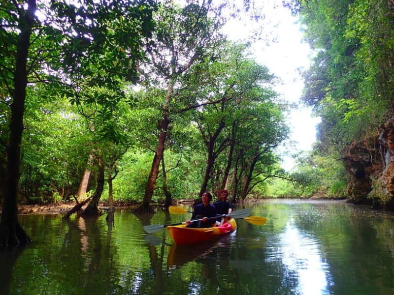 Ishigaki: Mangrove SUP or Canoe & Phantom Island Snorkeling - Introducing the Ishigaki Mangrove SUP and Snorkeling Tour