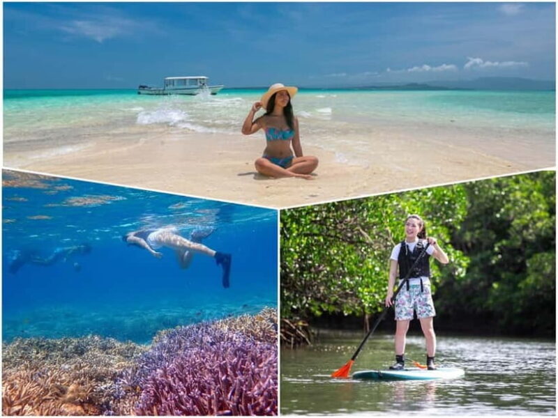 Ishigaki: Mangrove SUP or Canoe & Phantom Island Snorkeling - Key Points