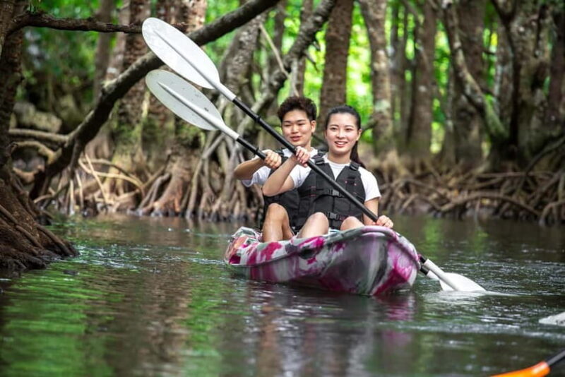 Ishigaki: Mangrove SUP or Canoe Tour Taketomi Sightseeing - Key Points