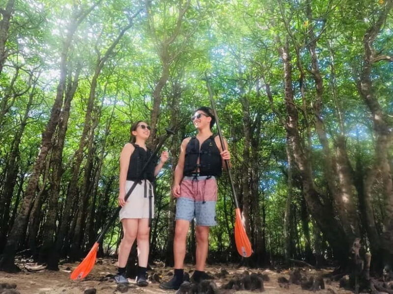 Ishigaki: Mangrove SUP or Canoe Tour Taketomi Sightseeing - Who This Tour Is Best For