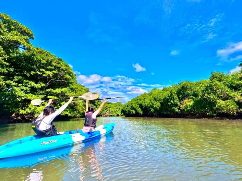 Ishigaki: Mangrove SUP or Canoe Tour Taketomi Sightseeing - The Sum Up