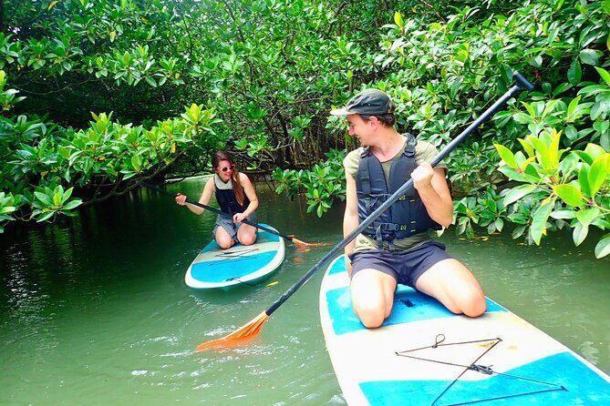 Ishigaki Mangrove SUP or Canoeing and Phantom Island Snorkeling - Why You Should Consider This Tour