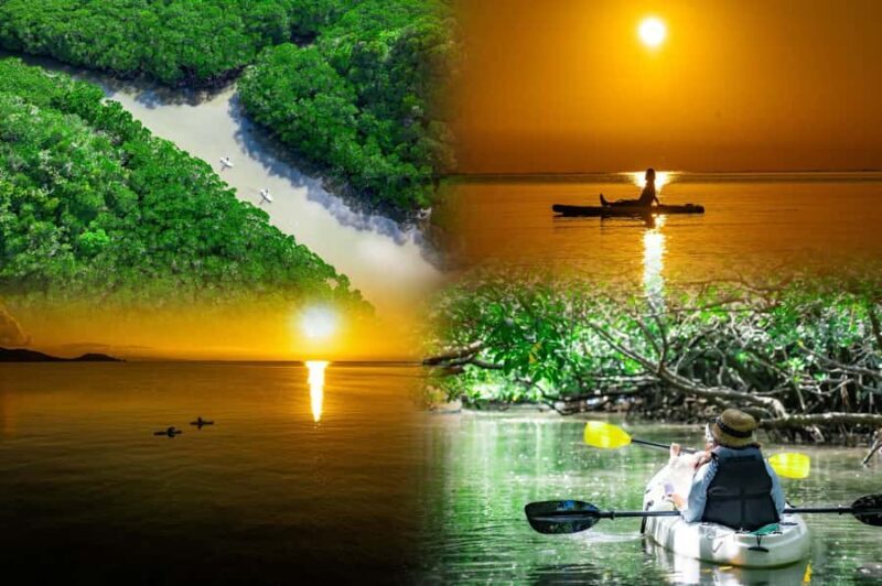 Ishigaki: Mangrove&Sunset Kayak/SUP with Drone & SLR footage - Introduction to the Ishigaki Mangrove & Sunset Tour