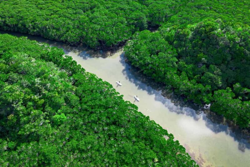 Ishigaki: Mangrove&Sunset Kayak/SUP with Drone & SLR footage - The Practical Details