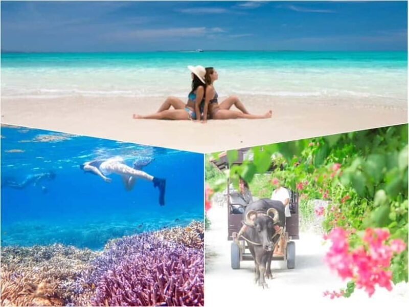 Ishigaki: Phantom Island Snorkeling and Taketomi Sightseeing - Introduction: A Balanced Taste of Sea and Culture