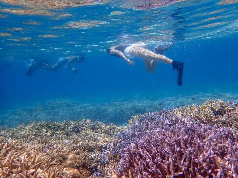 Ishigaki: Phantom Island Snorkeling and Taketomi Sightseeing - FAQs