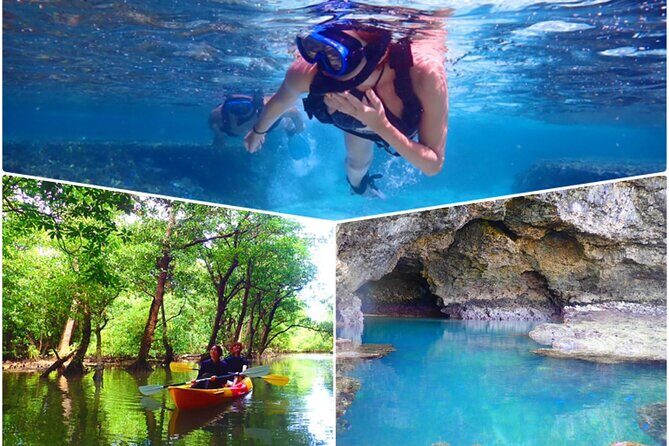 [Ishigaki]Mangrove SUP/Canoe + Blue Cave Snorkeling - Exploring the [Ishigaki] Mangrove SUP/Canoe + Blue Cave Snorkeling Tour