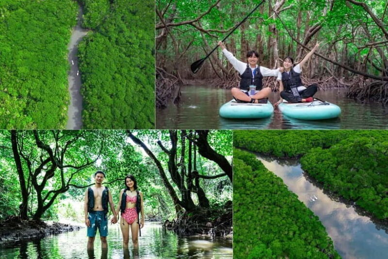 Ishigaki:Mangrove&Sea SUP/Kayak Tour with SLR&Drone footage - The Experience: What You Can Expect