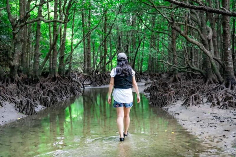 Ishigaki:Mangrove&Sea SUP/Kayak Tour with SLR&Drone footage - Final Thoughts: Is It Worth It?