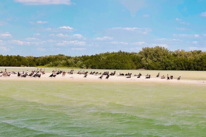 Isla Columpios and Progreso Day Trip - What’s Included and What’s Not