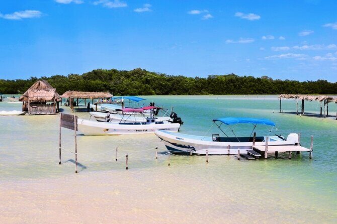 Isla Columpios and Progreso Day Trip - How Does It Compare to Other Experiences?