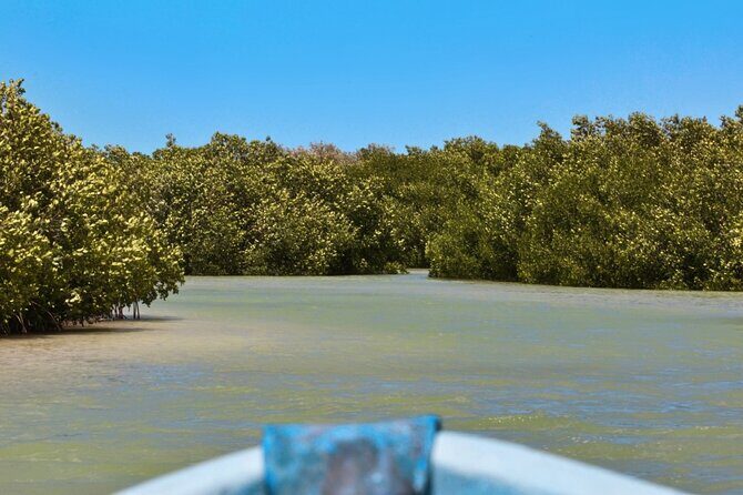 Isla Columpios and Progreso Day Trip - FAQ