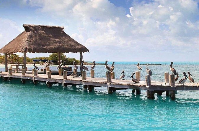 Isla Contoy Day Trip - FAQ