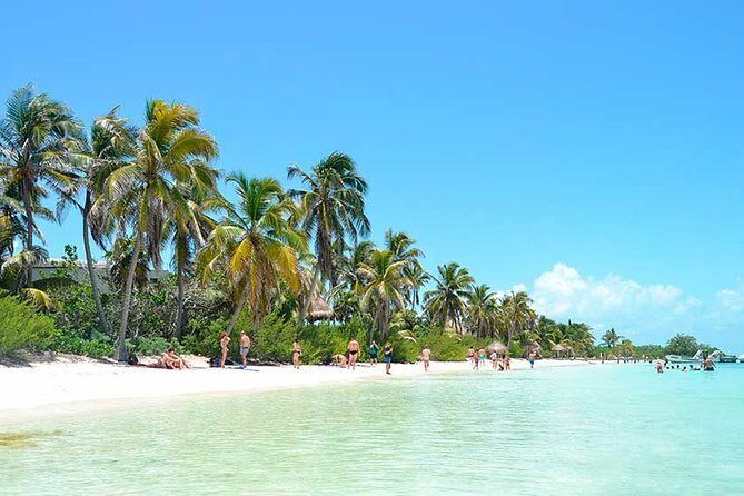 Isla Contoy Hidden Beauty! With Round Transportation From Cancun & Riviera Maya - Introduction: An Inviting Day Trip for Nature and Culture Seekers