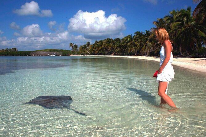 Isla Contoy Hidden Beauty! With Round Transportation From Cancun & Riviera Maya - The Value of Guided Expertise and Amenities