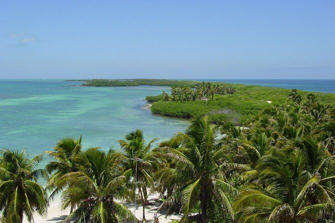 Isla Contoy Hidden Beauty! With Round Transportation From Cancun & Riviera Maya - Final Thoughts: Who Will Appreciate This Tour?