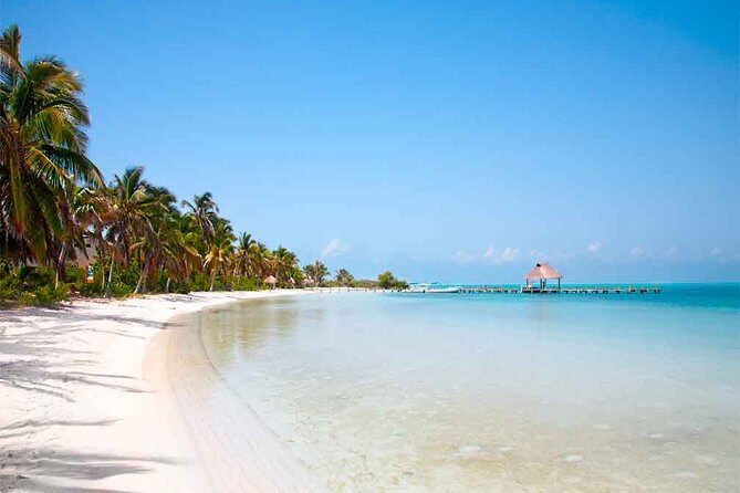 Isla Contoy Incredible Tour! Round Transportation From Cancun & Playa Del Carmen - Who’s This Tour Best For?