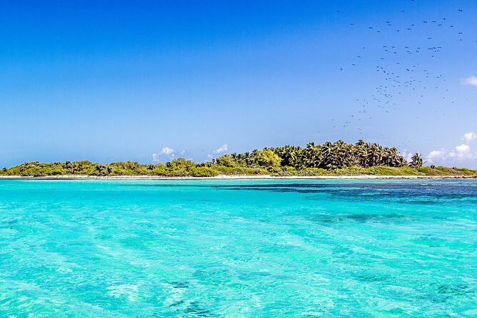 Isla Contoy Incredible Tour! Round Transportation From Cancun & Playa Del Carmen - Final Thoughts: Is It Worth It?