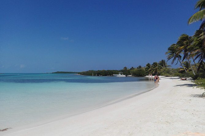Isla Contoy & Isla Mujeres (from Playa del Carmen) - The Experience: What’s It Really Like?