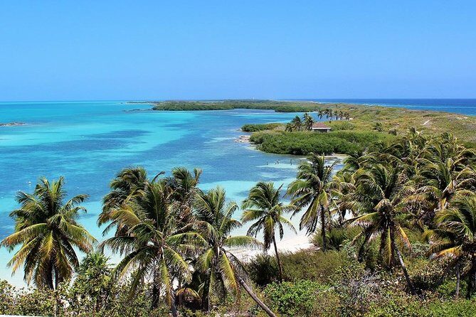 Isla Contoy & Isla Mujeres Tour from Cancun & Playa Del Carmen - An In-Depth Look at the Tour