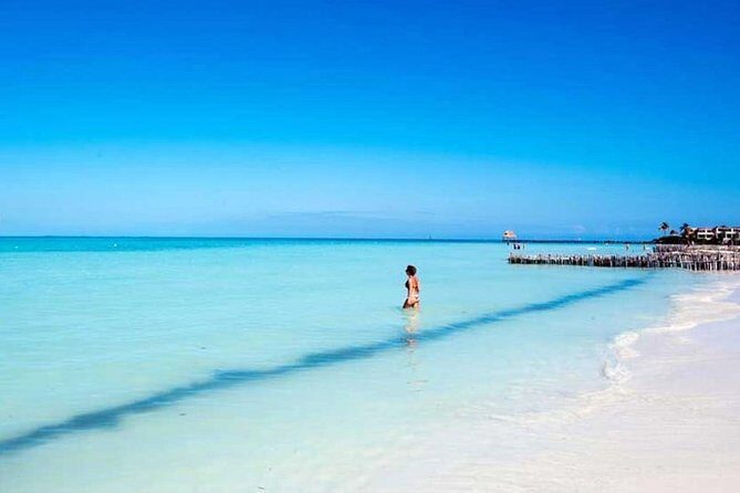 Isla Contoy & Isla Mujeres Tour from Cancun & Playa Del Carmen - Frequently Asked Questions