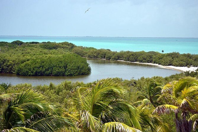 Isla Contoy & Shopping tour in Isla Mujeres from Cancun & Riviera Maya - Who Is This Tour Best For?