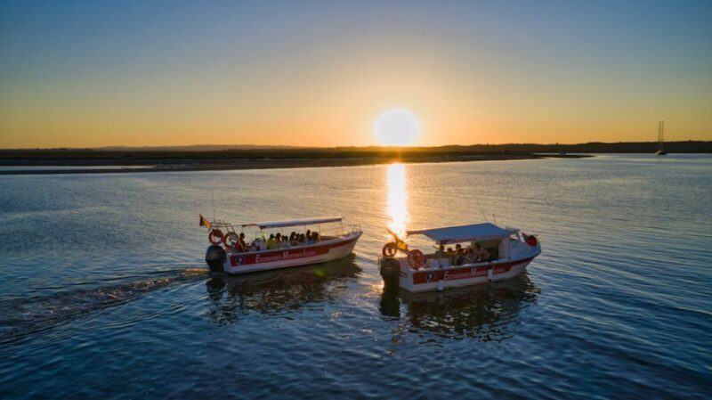 Isla Cristina/Isla Canela: Boat Trip Through the Marshes - Authentic Insights from Travelers