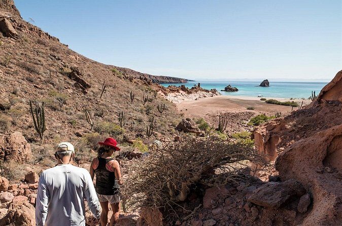Isla Espiritu Santo Adventure: Explore the Sea of Cortez - Who Will Love This Tour?
