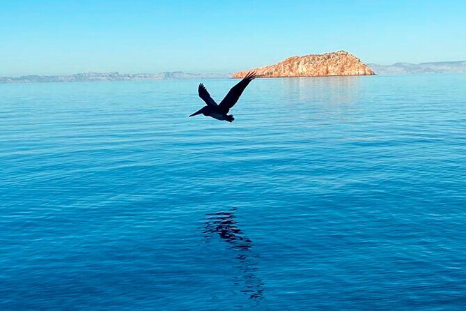 Isla Espiritu Santo and Balandra Tour - Key Points