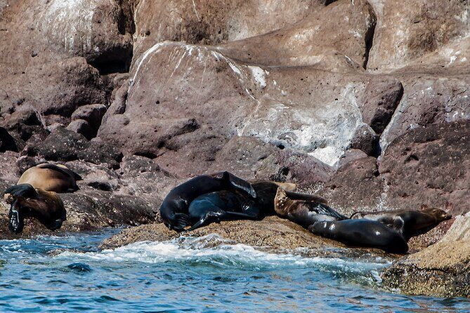 Isla Espiritu Santo and Balandra Tour - Is This Tour Worth It? Analyzing the Value