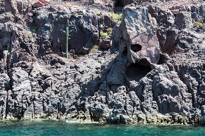 Isla Espiritu Santo and Balandra Tour - The Sum Up: Why This Tour Might Be Your Best Choice