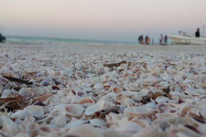 Isla Holbox All Inclusive with Transportation (Breakfast and Food Included) - Who Will Enjoy This Tour?