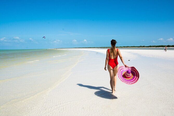 Isla Holbox Day Tour from Cancun with Lunch Included - Key Points