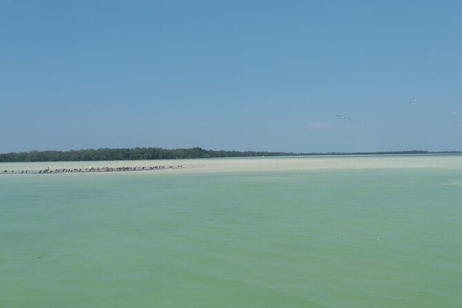 Isla Holbox Day Tour from Cancun with Lunch Included - Practical Details and What to Expect