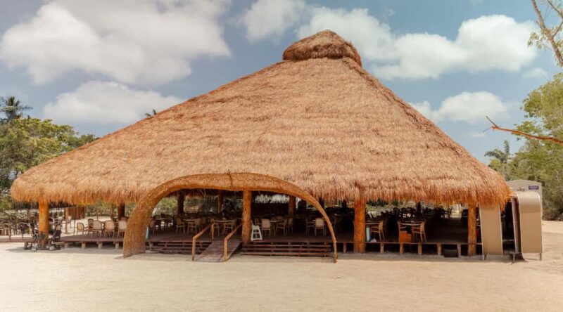 Isla Mia Roots with Tranfer - Final Thoughts: Is This the Right Choice for You?