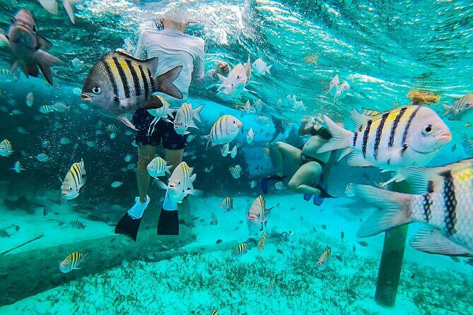 Isla Mujeres and Cancun Snorkeling and Fishing Combo - What You Can Expect from Your Day on the Water
