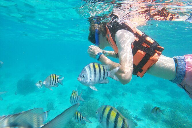 Isla Mujeres and Cancun Snorkeling and Fishing Combo - What Real Travelers Say (Based on Available Reviews)