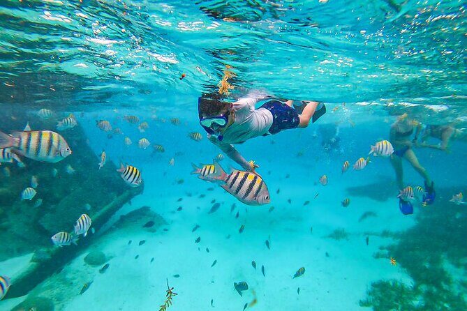 Isla Mujeres and Cancun Snorkeling and Fishing Combo - Who Should Consider This Tour?