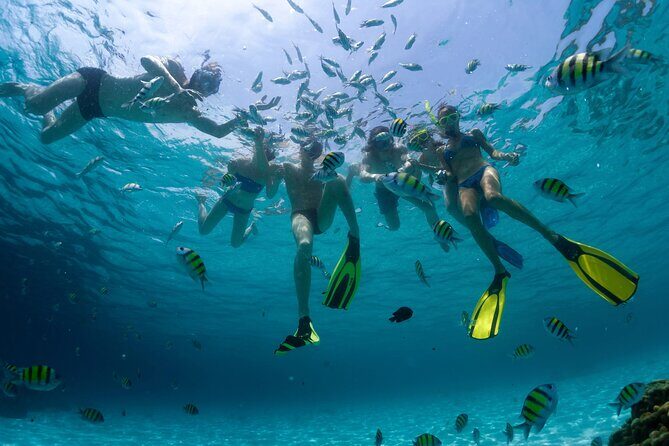 Isla Mujeres Catamaran Beach Tour - Who Will Love This Tour?
