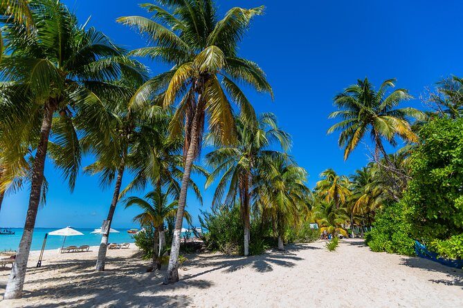 Isla Mujeres Catamaran, Open Bar & Optional Buffet and pick up - The Sum Up: Who Is This Tour Best For?