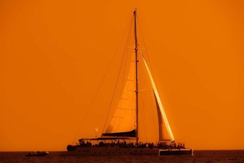 Isla Mujeres: Catamaran Ride with Open Bar, Snorkeling, and Lunch - Snorkeling at the Reef
