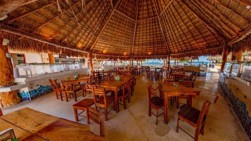 Isla Mujeres Catamaran, Snorkel & Buffet Lunch - Overall Experience and What to Expect