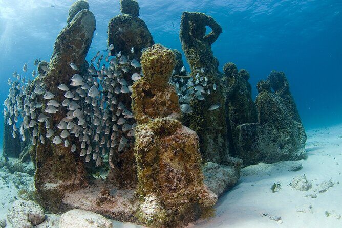 Isla Mujeres Catamaran Tour with Snorkeling at MUSA, Buffet Lunch & Open Bar - Final Thoughts