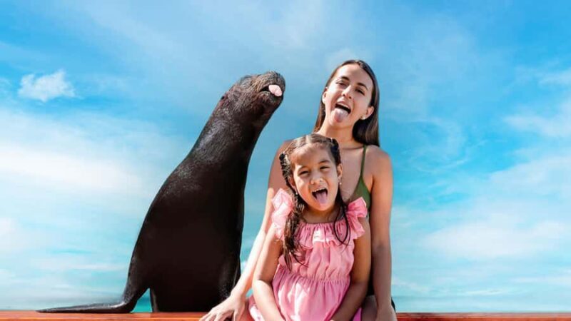 ISLA MUJERES: Dolphin Royal Connection & buffet from Cancun - The Sum Up